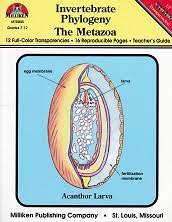 Invertebrate Phylogeny, The Metazoa, Teacher Guide – HCOS + Flex ...
